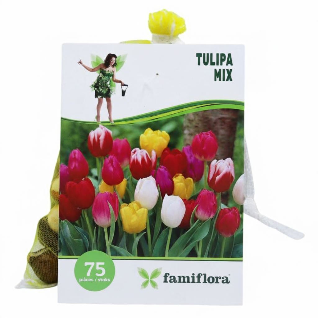 Famiflora Tulipa Mix - 75 stuks - Bloembollen - Kleurrijk - Gemakkelijk ...