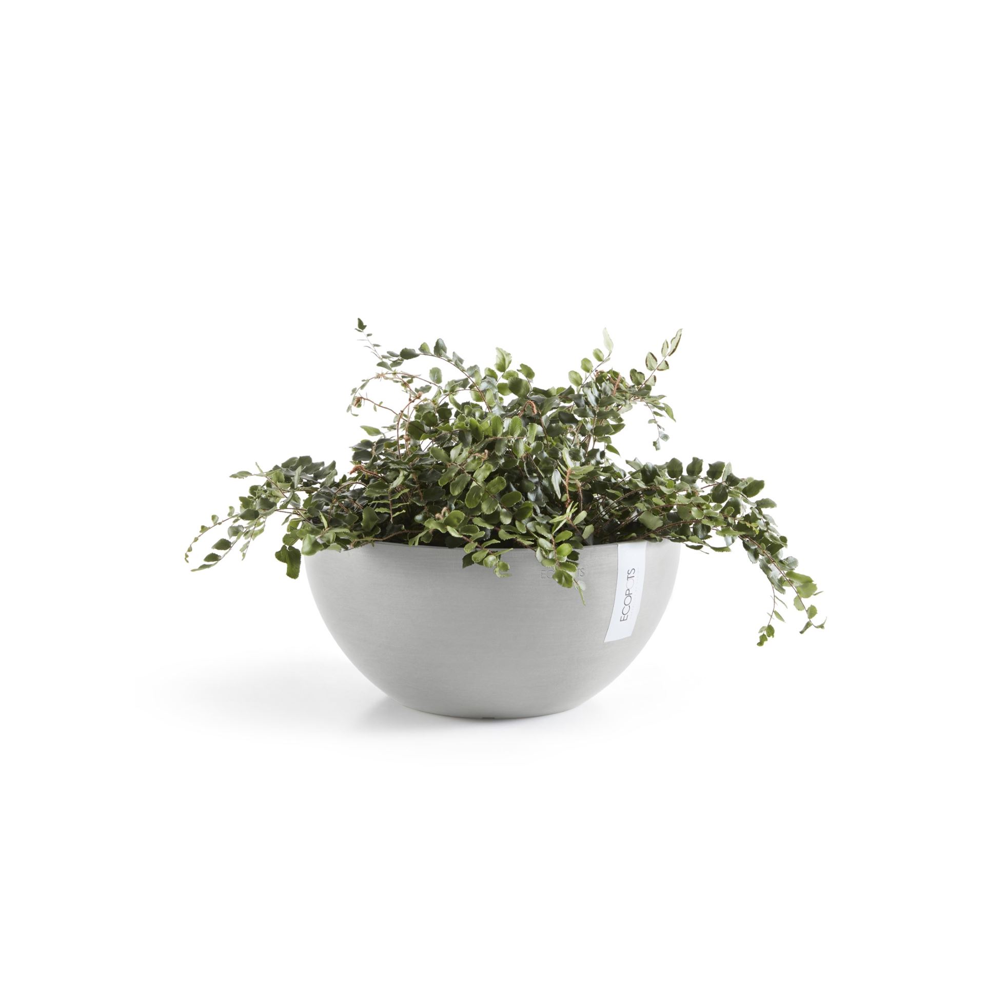Ecopots Brussels 25 - White Grey - Ø25 x H12 cm - Round white gray ...