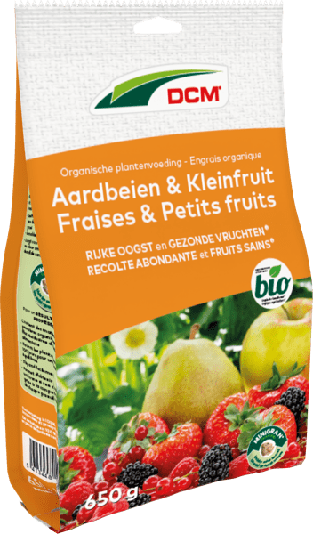 DCM Plant Nutrition Strawberries & Small Fruit 0.65 KG - For ...